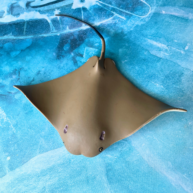 Cownose Ray Toy | Safari Ltd® | Safari Ltd®