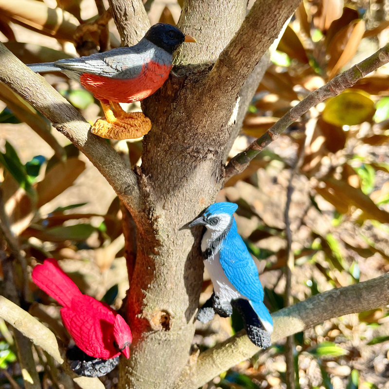 Backyard Birds TOOB – Mini Bird Figurines for Kids, Boys and Girls ...