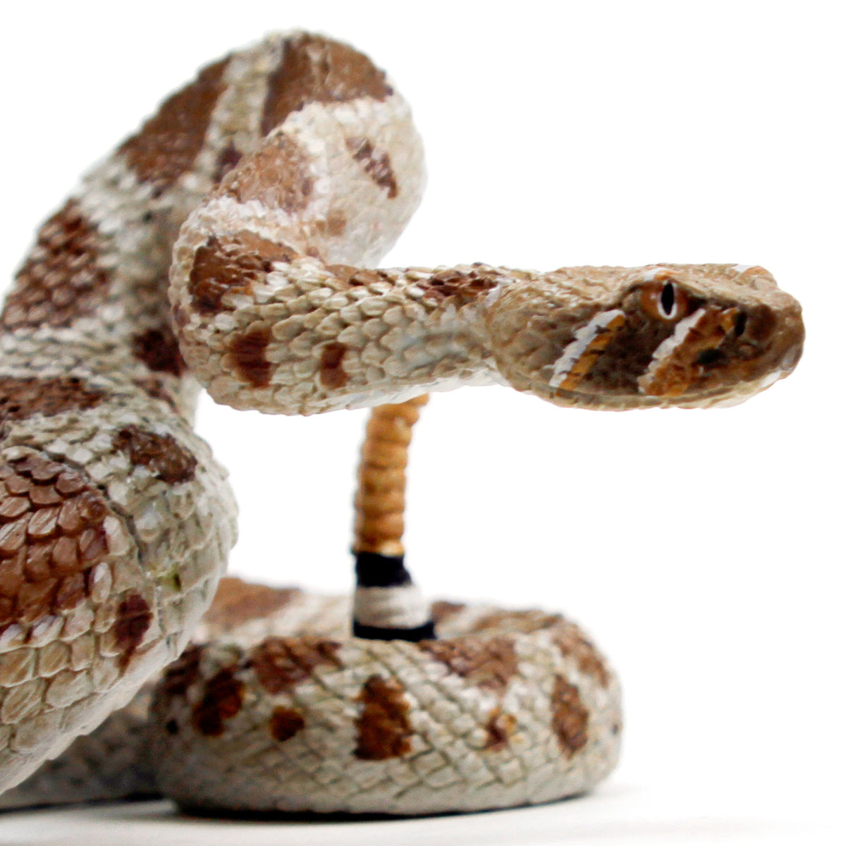 Western Diamondback Rattlesnake Toy | Safari Ltd®