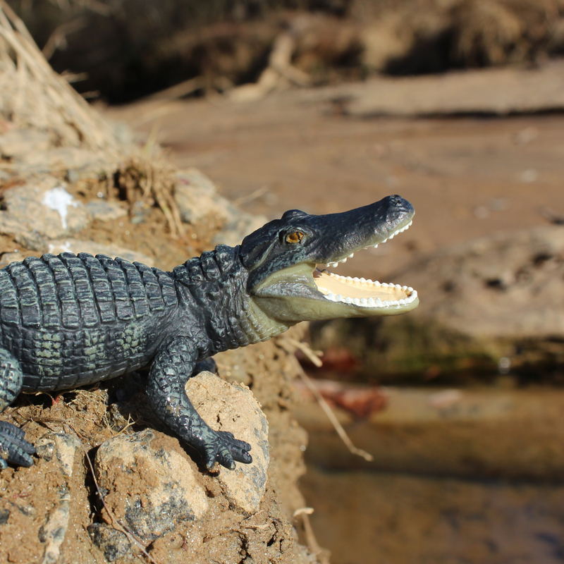 Alligator Toy | Safari Ltd®