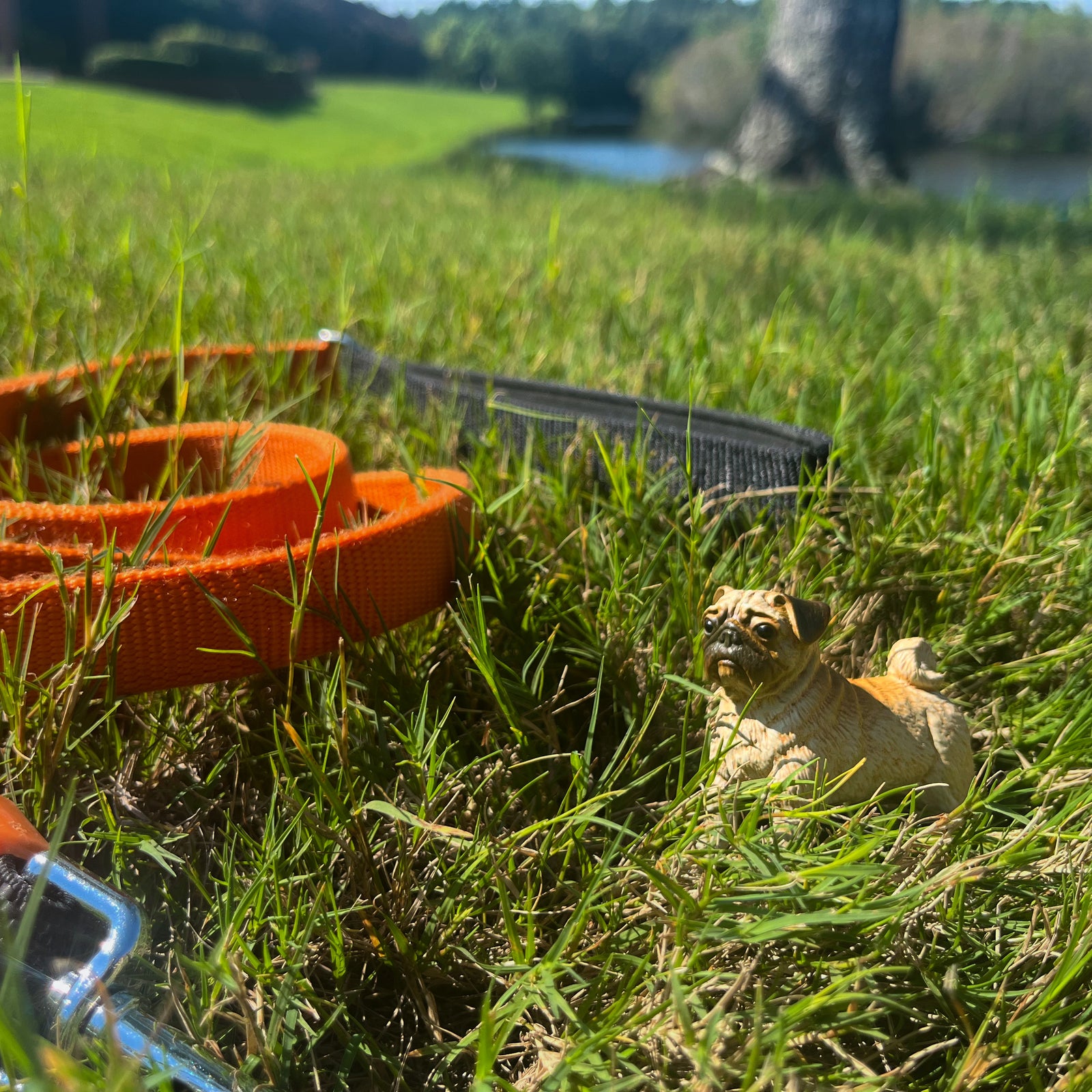 Pug Toy Dog Figure | Safari Ltd®