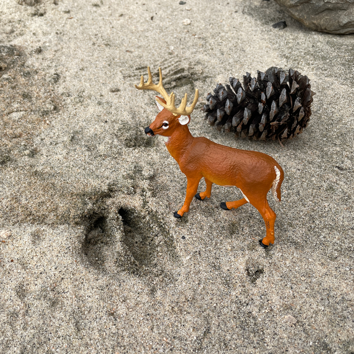 Whitetail Buck Figurine – Realistic Deer Toy | Safari Ltd® | Safari Ltd®