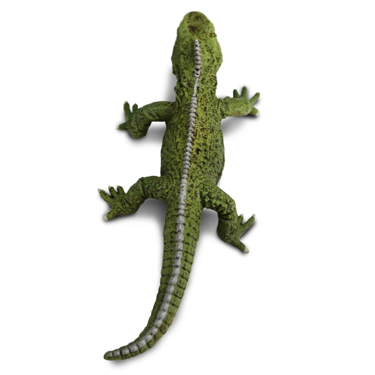 Tuatara Toy Figure | Safari Ltd®