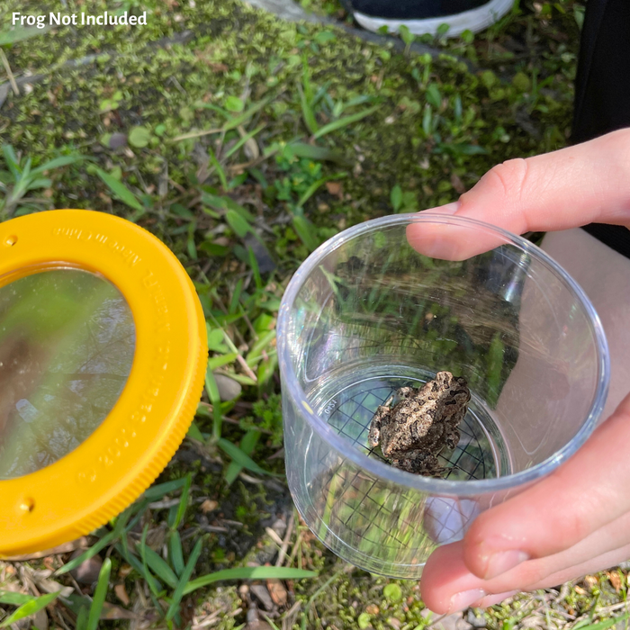 World's Best Bug Jar | Educational Science Toy | Safari Ltd®