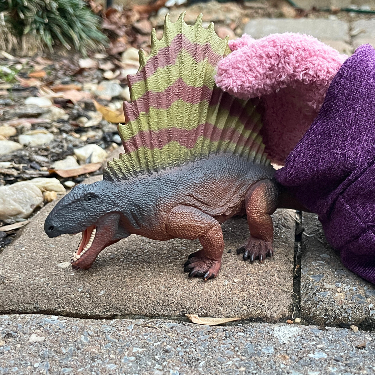 Dimetrodon Toy | Safari Ltd®