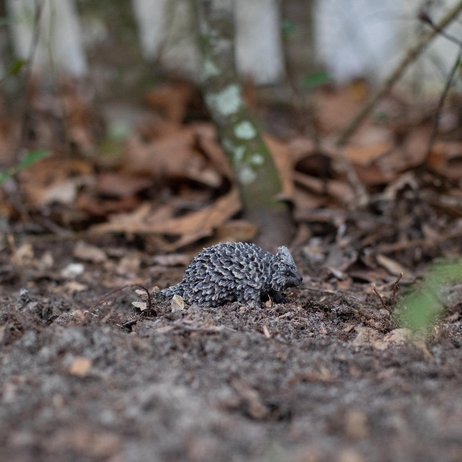 Porcupine Toy | Wildlife Animal Toys | Safari Ltd. | Safari Ltd®