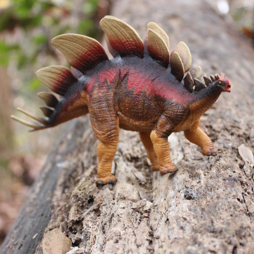 Stegosaurus Dinosaur Toy – Prehistoric Figure | Safari Ltd® | Safari Ltd®