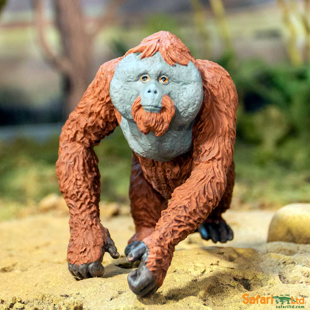 Male Orangutan Toy | Wildlife Animal Toys | Safari Ltd. | Safari Ltd®