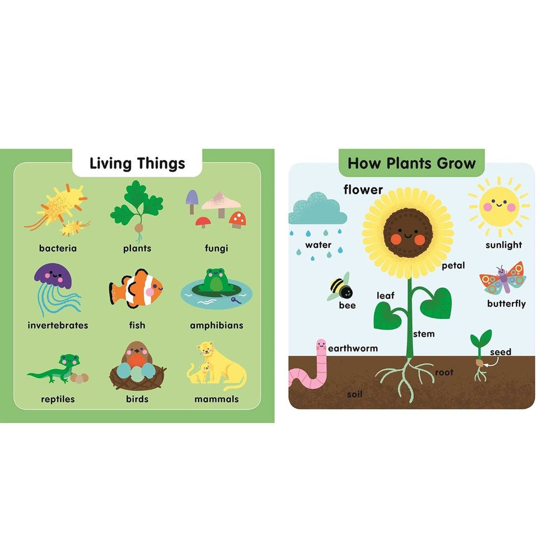 100 FIRST SCIENCE WORDS | Books | Safari Ltd®