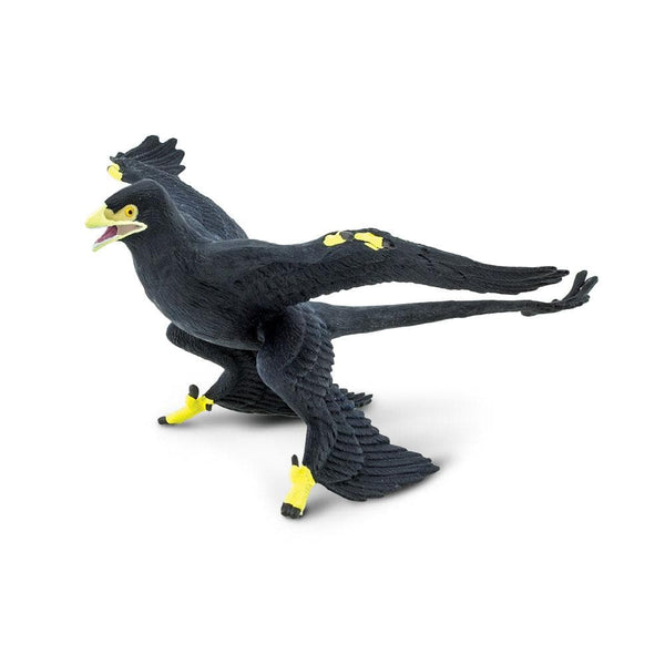 Microraptor Toy – Feathered Dinosaur Figure by Safari Ltd® | Safari Ltd®