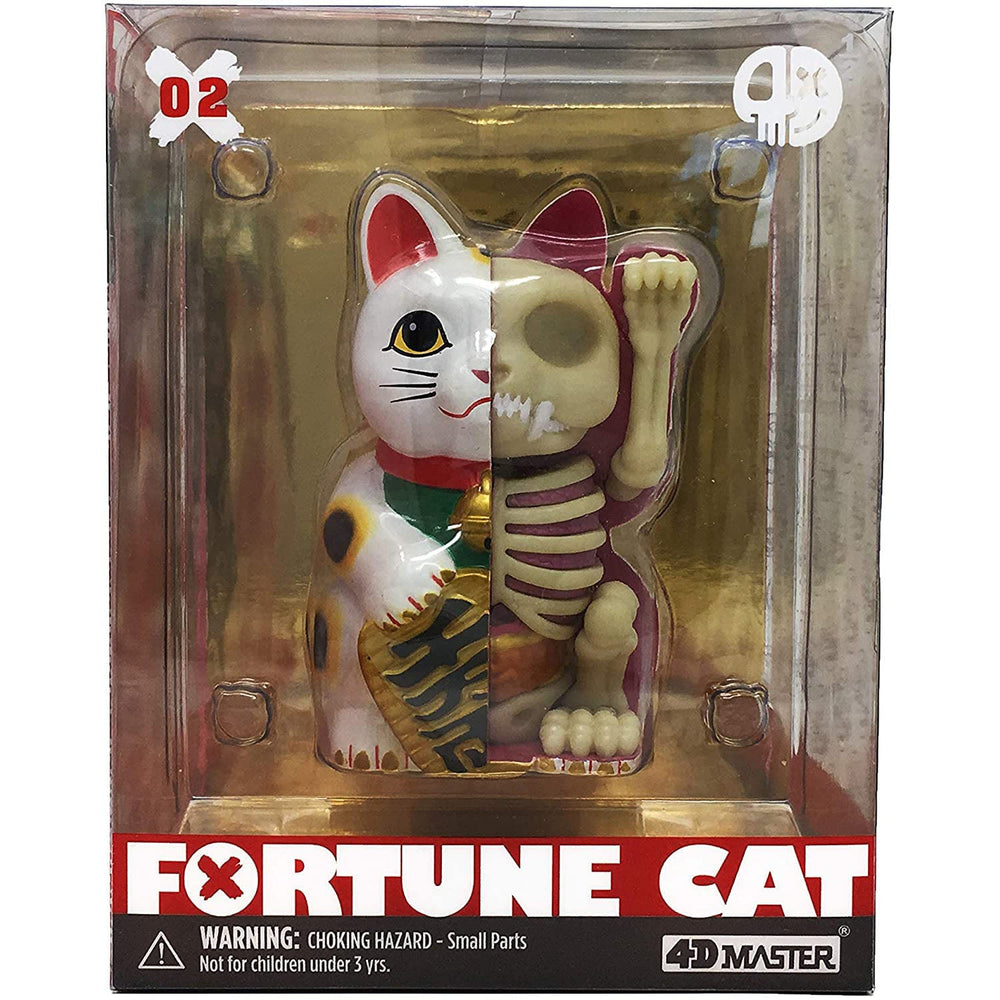 4D Fortune Cat Anatomy Model | Safari Ltd®