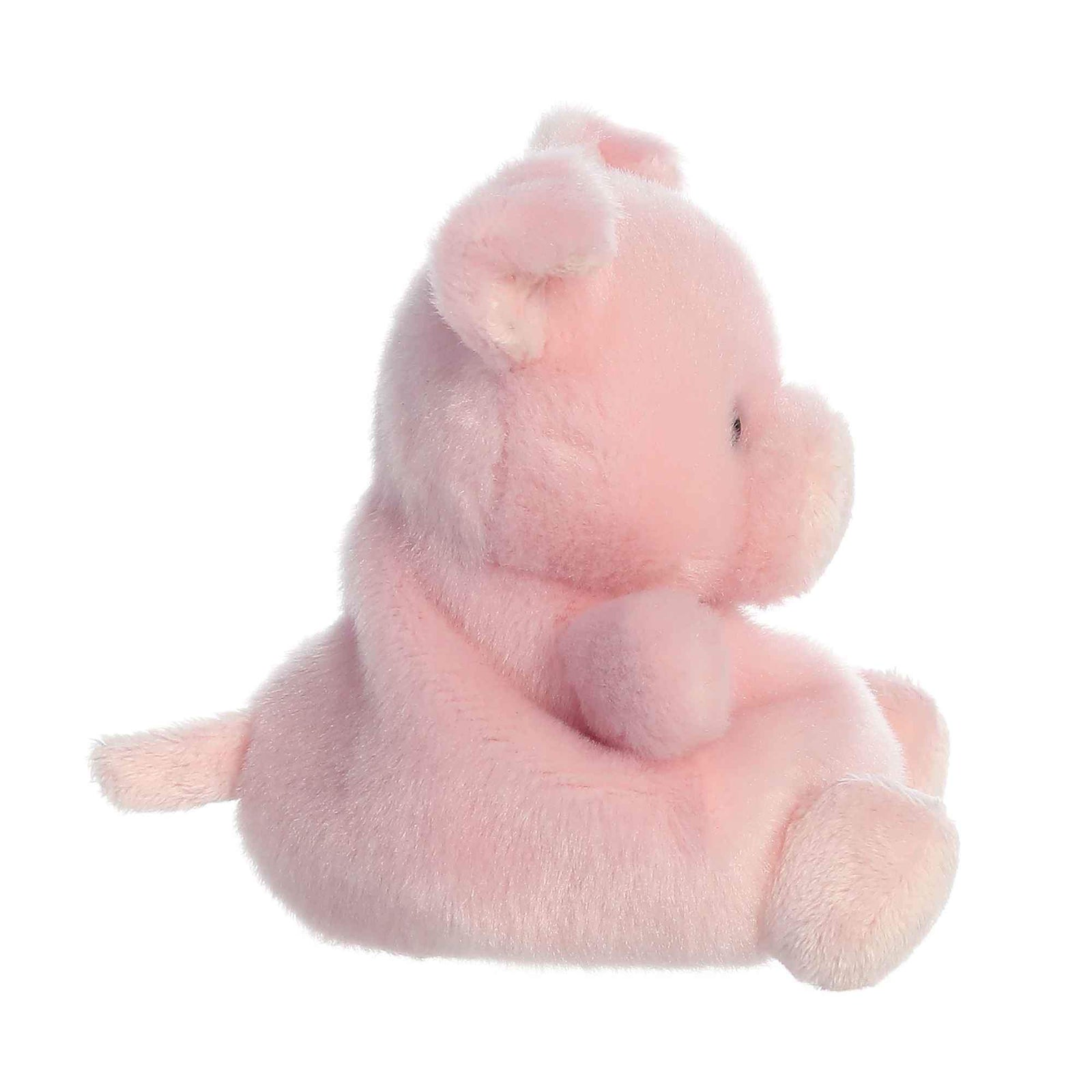 5" Palm Pals Wizard Pig | Safari Ltd®