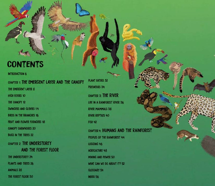 All the Way Down: Amazon Rainforest Book | | Safari Ltd®
