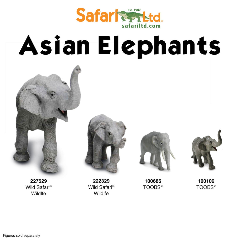 Asian Elephant Baby Toy | Wildlife Animal Toys | Safari Ltd®