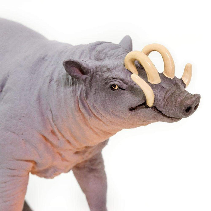 Babirusa Toy | Wildlife Animal Toys | Safari Ltd®