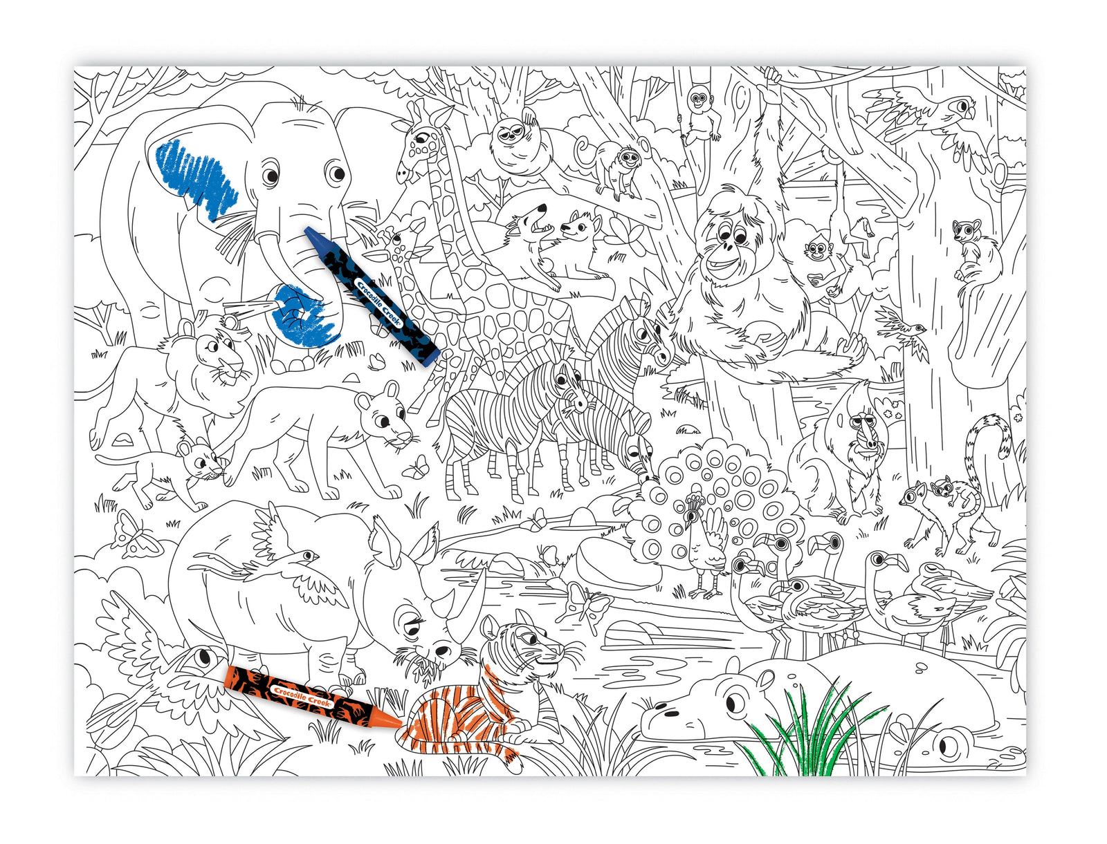 Coloring Art Sets: Jungle Jamboree | Safari Ltd®