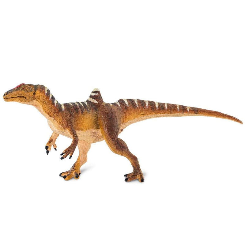 Concavenator Toy | Dinosaur Toys | Safari Ltd®
