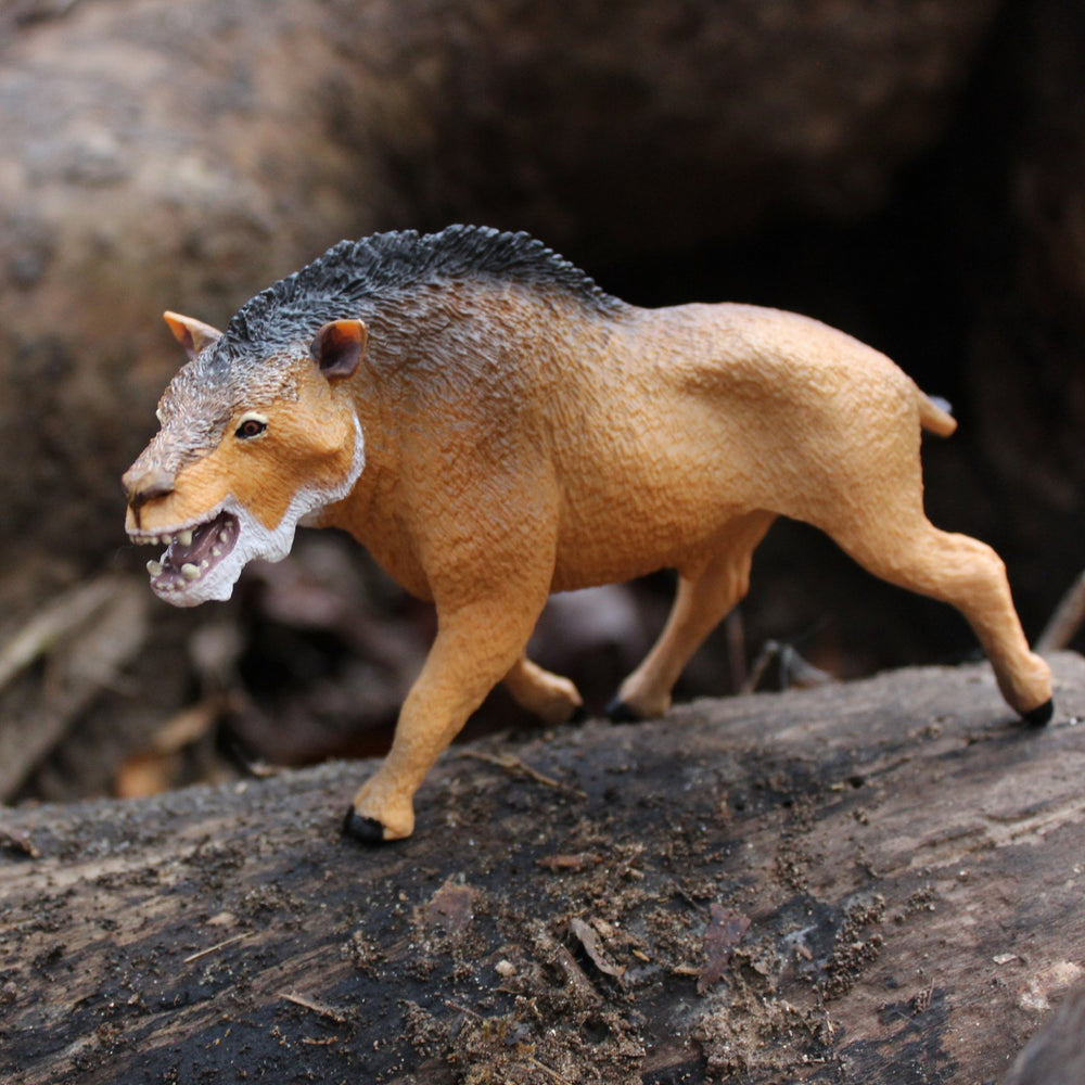 Daeodon Toy | Dinosaur Toys | Safari Ltd®