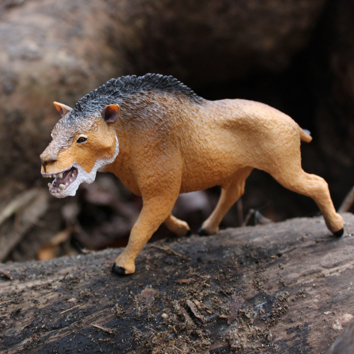 Daeodon Toy | Dinosaur Toys | Safari Ltd®