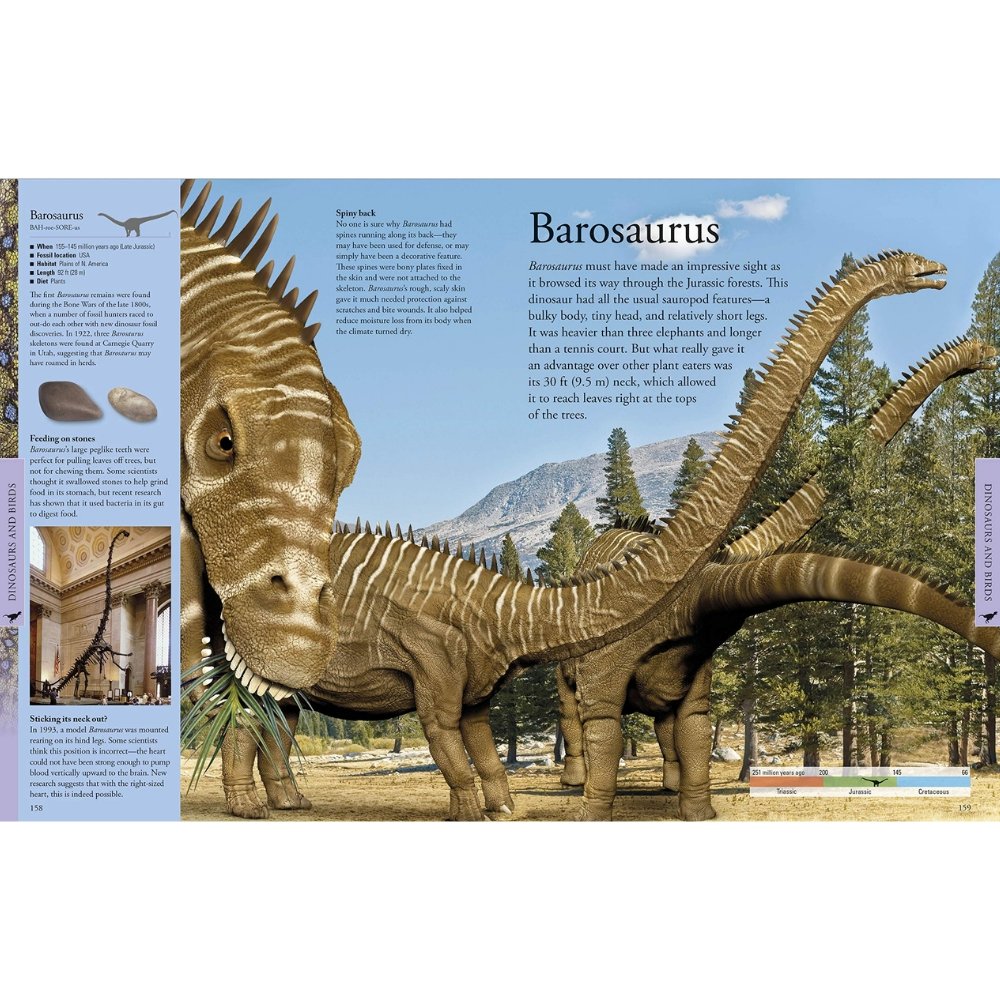 DK Visual Encyclopedia of Dinosaurs | Safari Ltd®
