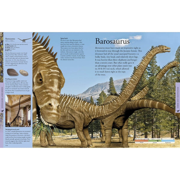 DK Visual Encyclopedia of Dinosaurs | Safari Ltd®