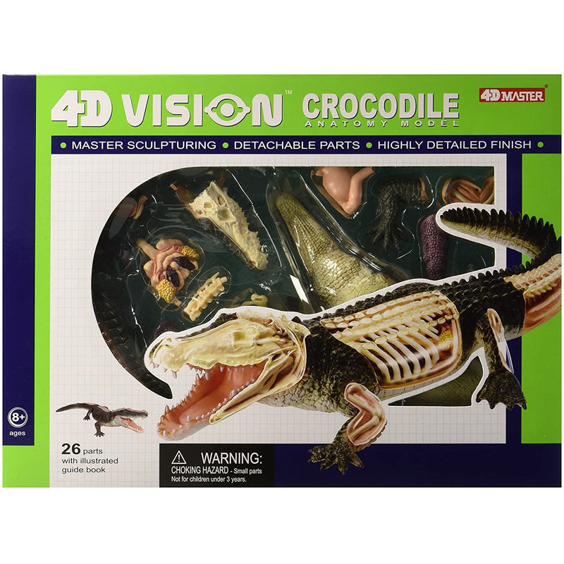 4D Vision Crocodile Anatomy Model | Safari Ltd®