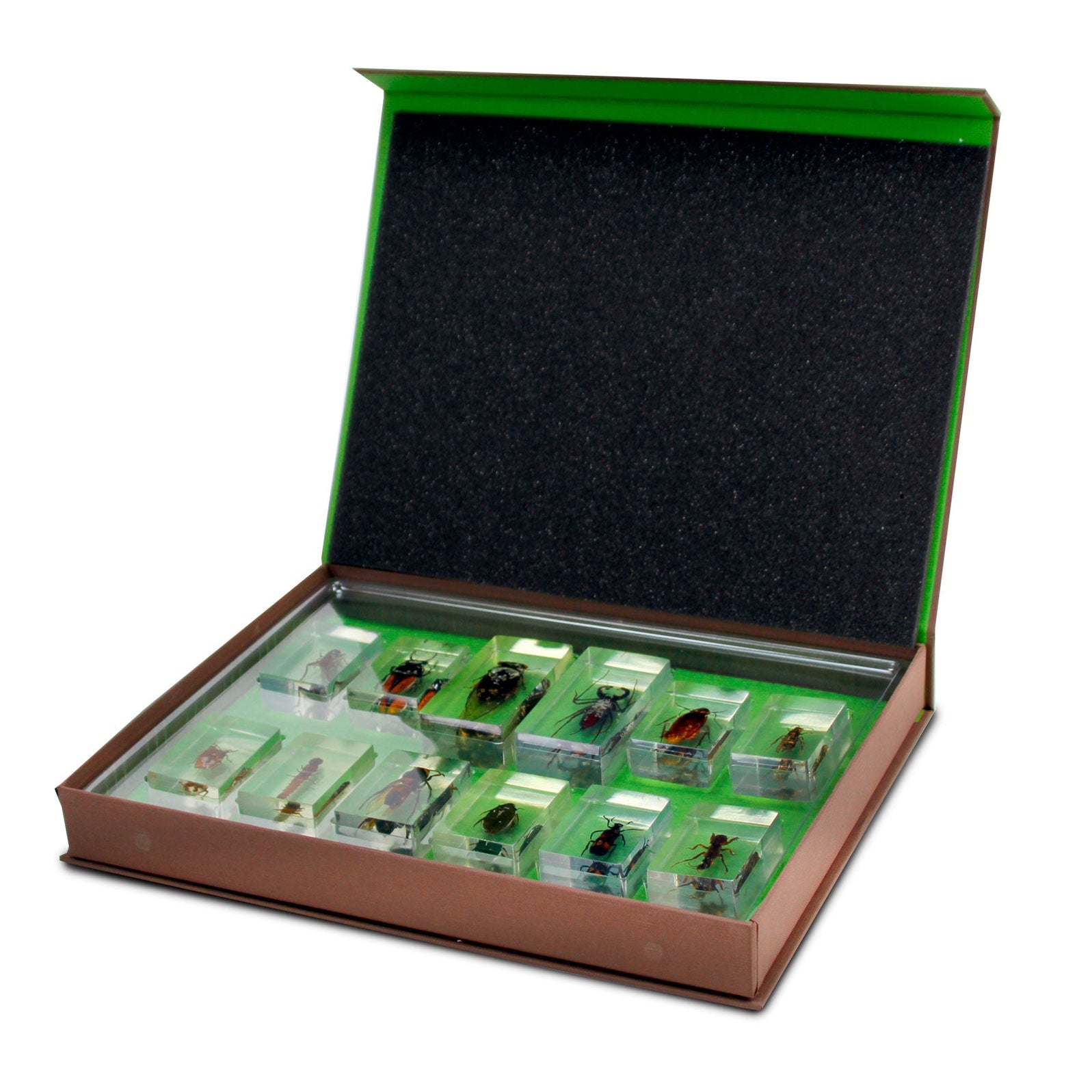 The Nature Collections by GEOWorld | Safari Ltd®