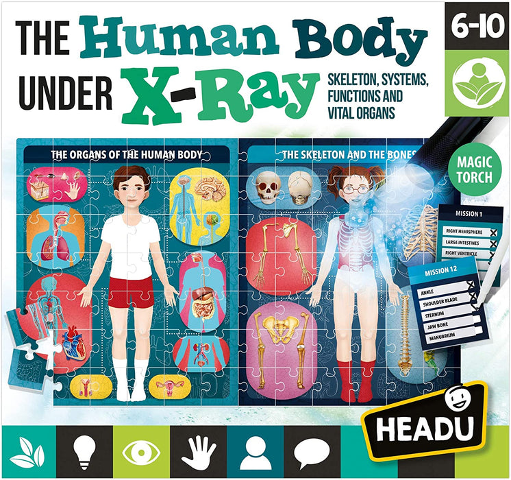 Headu The Human Body Under X-Ray Puzzle | Montessori Toys | Safari Ltd®