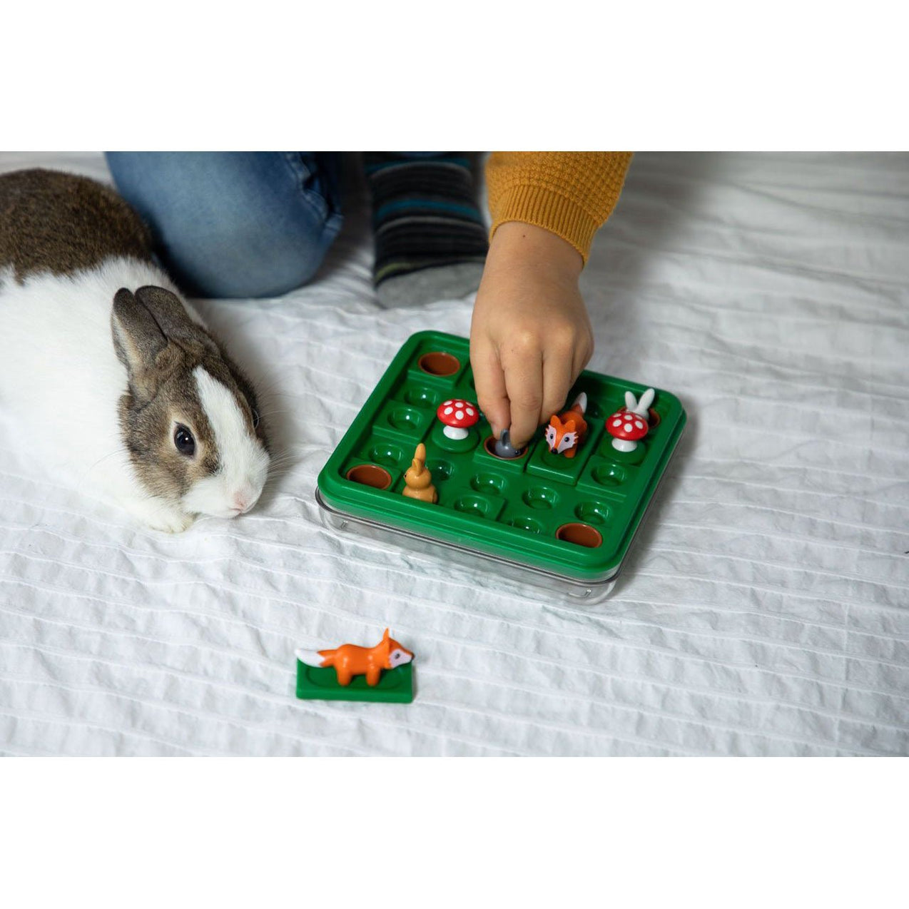 JumpIN' Game | Educational Toys | Safari Ltd®