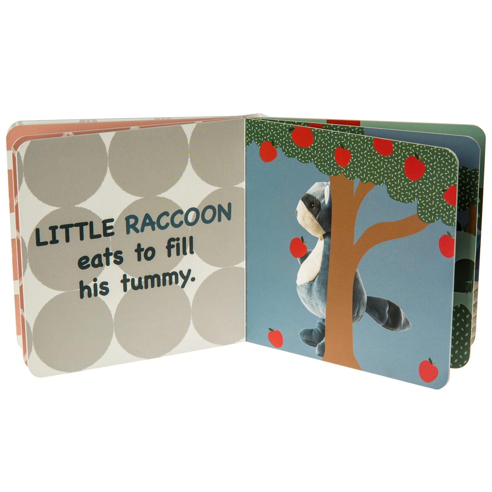 Leika Little Raccoon Book | Safari Ltd®