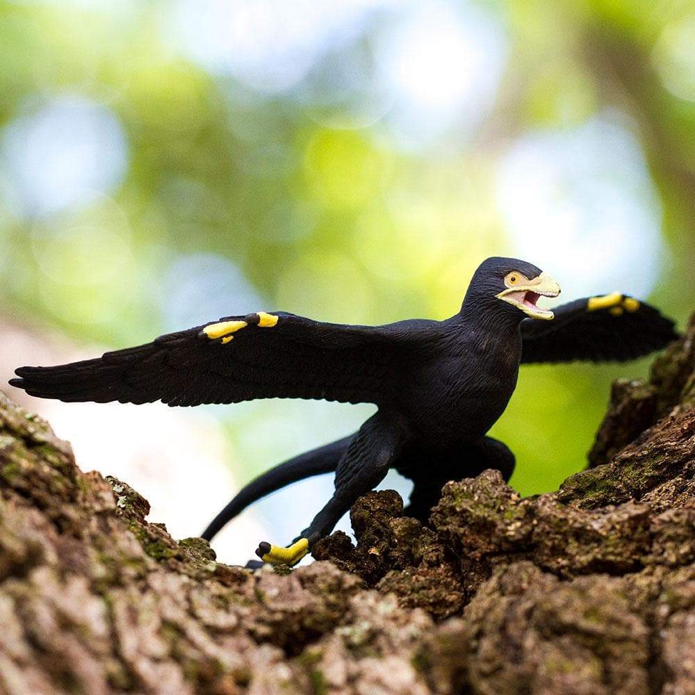 Microraptor Toy – Feathered Dinosaur Figure by Safari Ltd® | Safari Ltd®