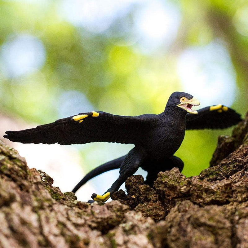 Microraptor Toy – Feathered Dinosaur Figure by Safari Ltd® | Safari Ltd®