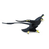 Microraptor Toy – Feathered Dinosaur Figure by Safari Ltd® | Safari Ltd®