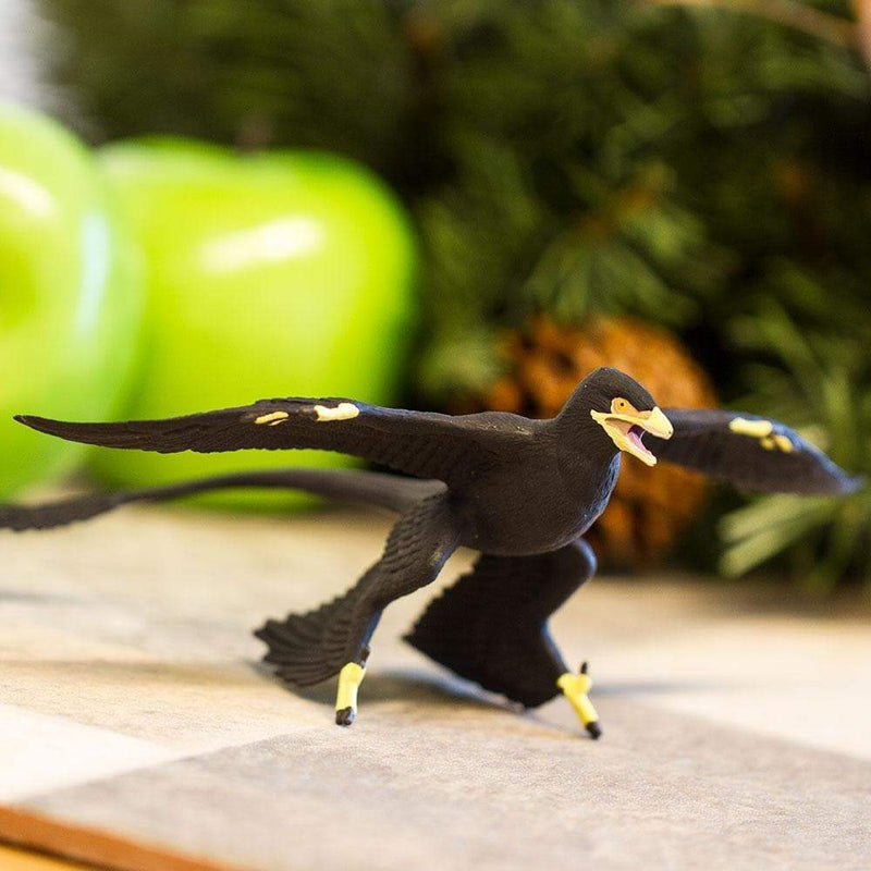 Microraptor Toy – Feathered Dinosaur Figure by Safari Ltd® | Safari Ltd®
