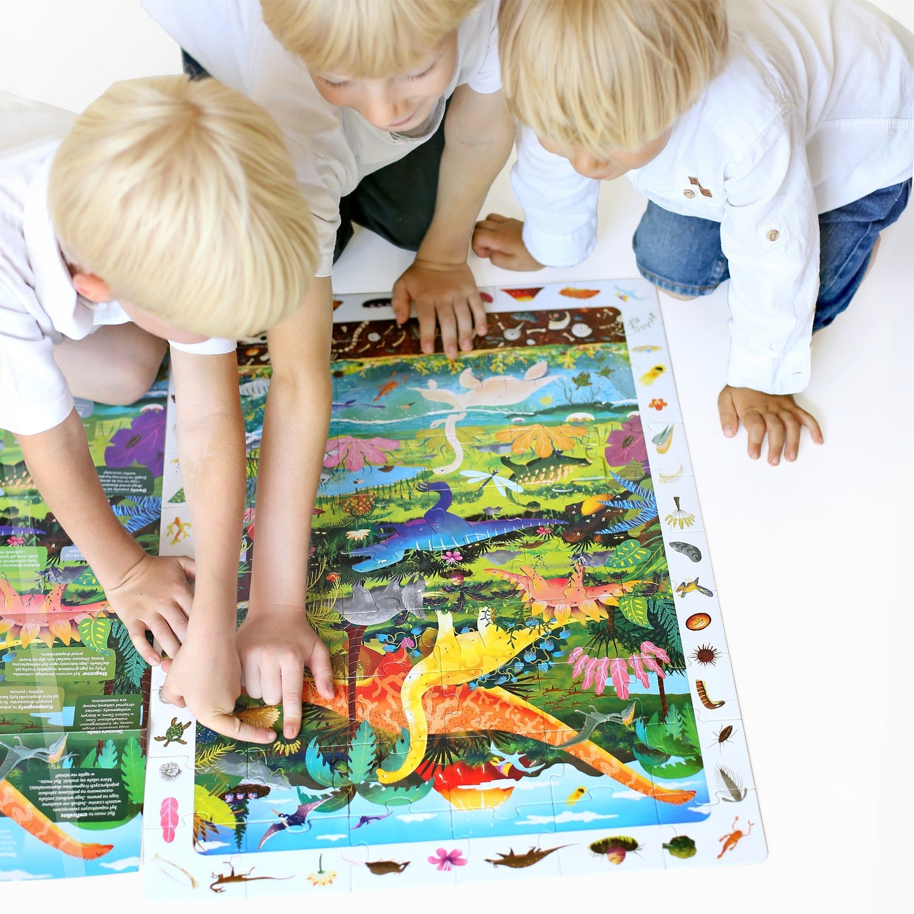 Observation Puzzle Dinosaurs | Safari Ltd®
