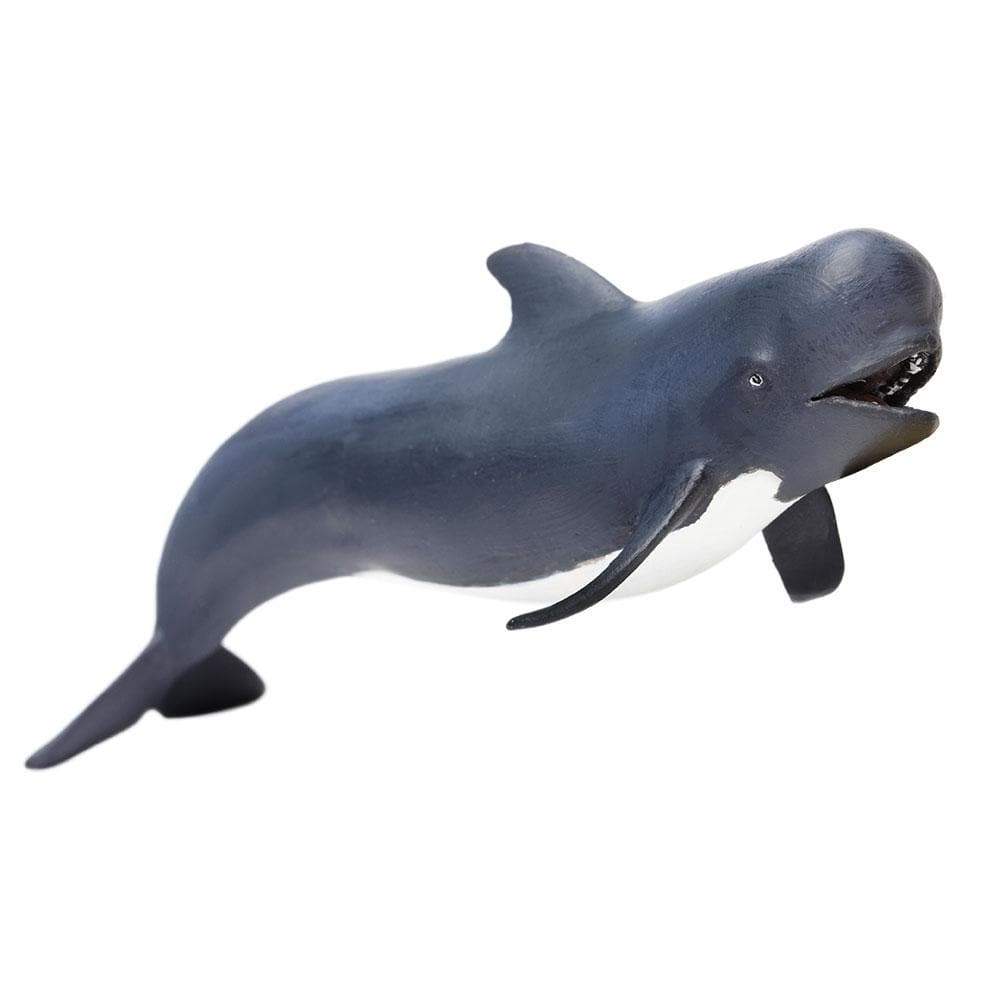 Pilot Whale Toy | Sea Life Toys | Safari Ltd®