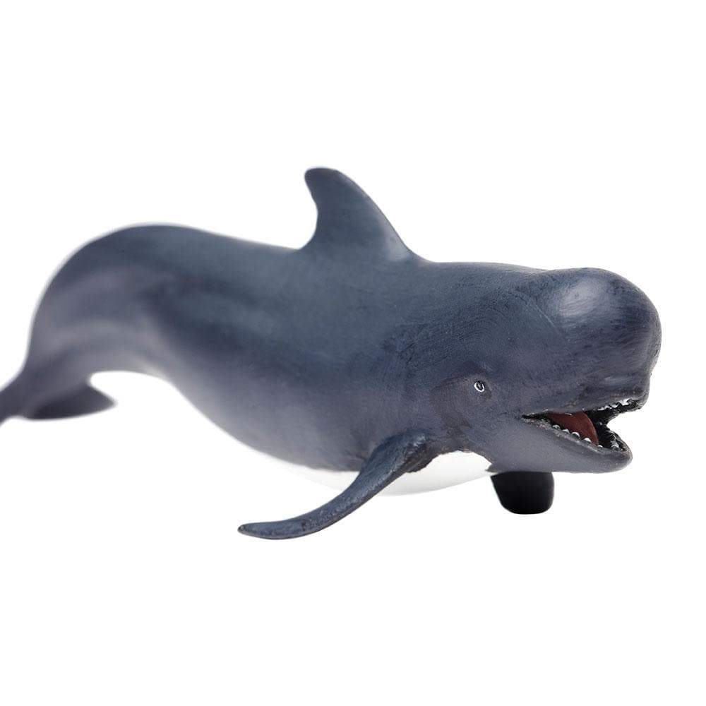Pilot Whale Toy | Sea Life Toys | Safari Ltd®