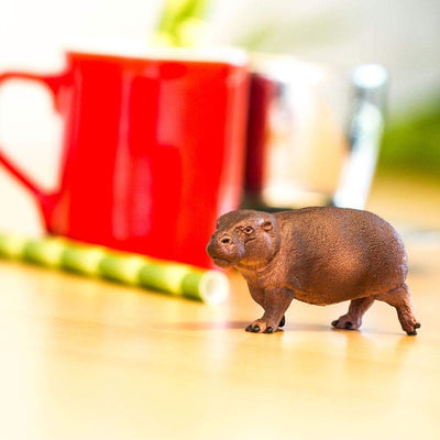 Pygmy Hippo Toy | Wildlife Animal Toys | Safari Ltd®