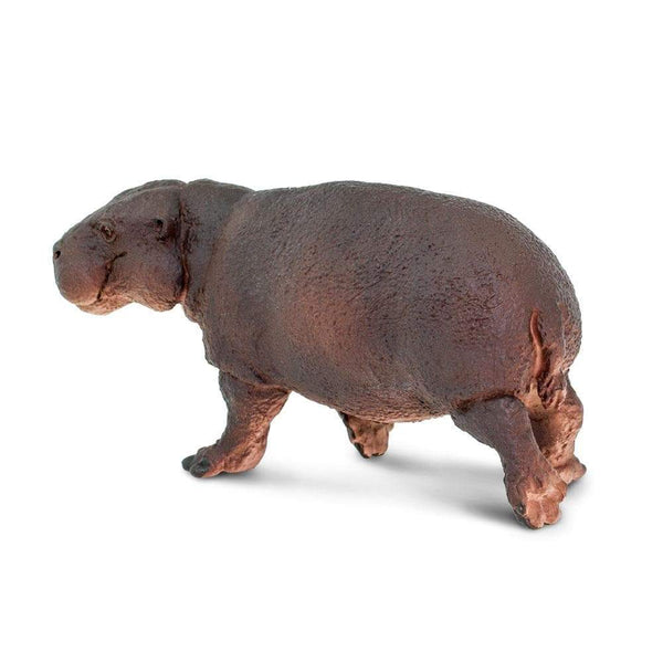 Pygmy Hippo Toy | Wildlife Animal Toys | Safari Ltd®