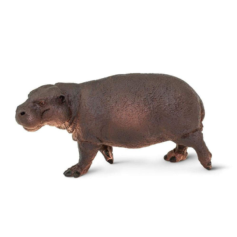 Pygmy Hippo Toy | Wildlife Animal Toys | Safari Ltd®