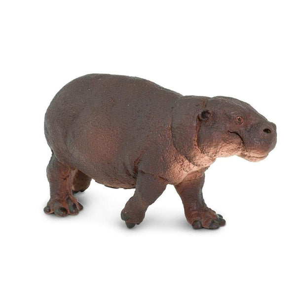Pygmy Hippo Toy | Wildlife Animal Toys | Safari Ltd®