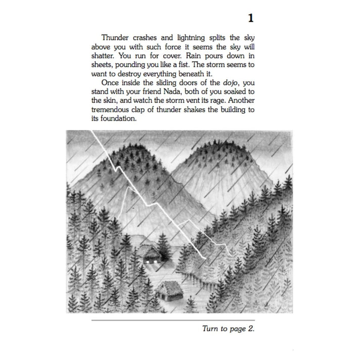 Secret of the Ninja Book | Books | Safari Ltd®