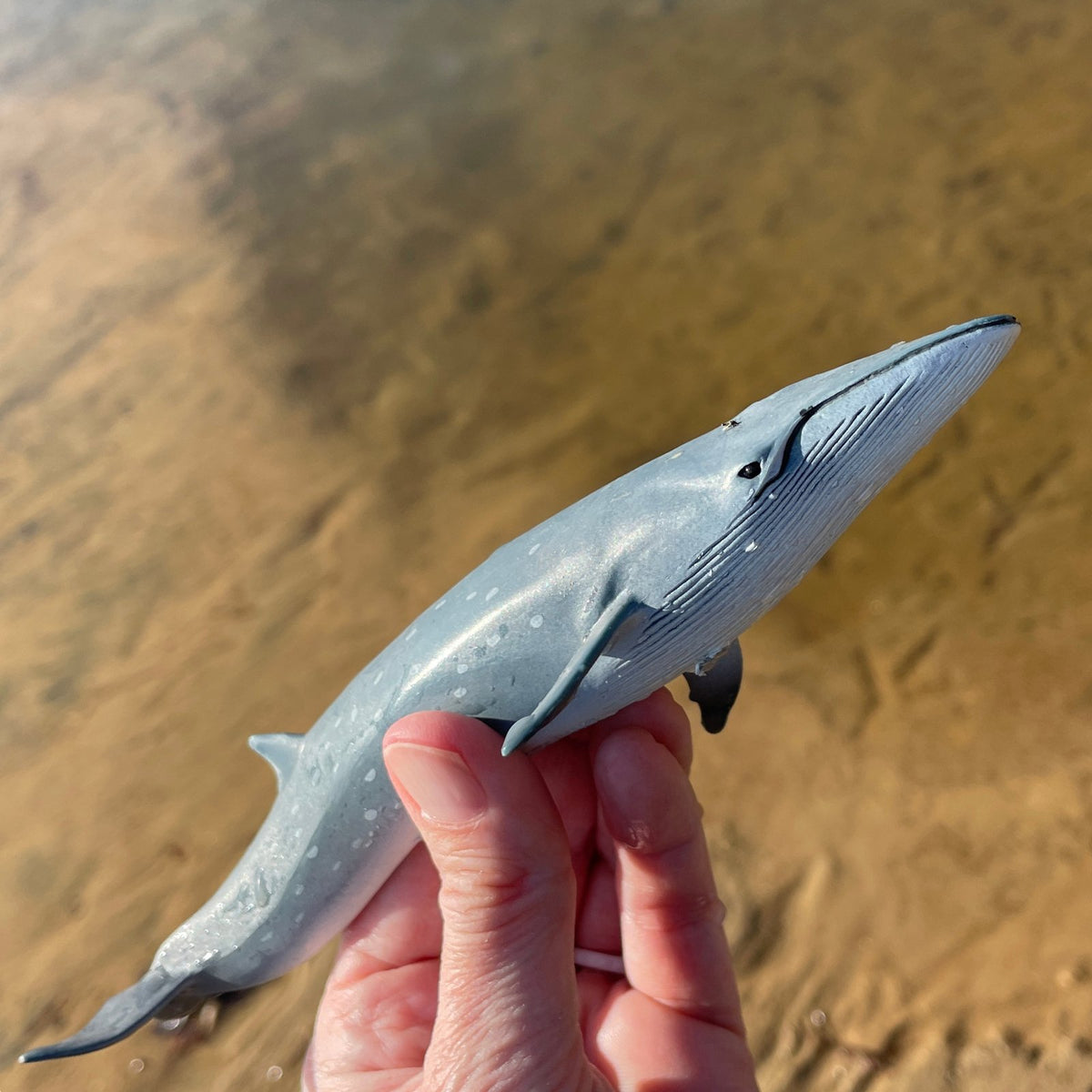 Sei Whale Toy | Safari Ltd®