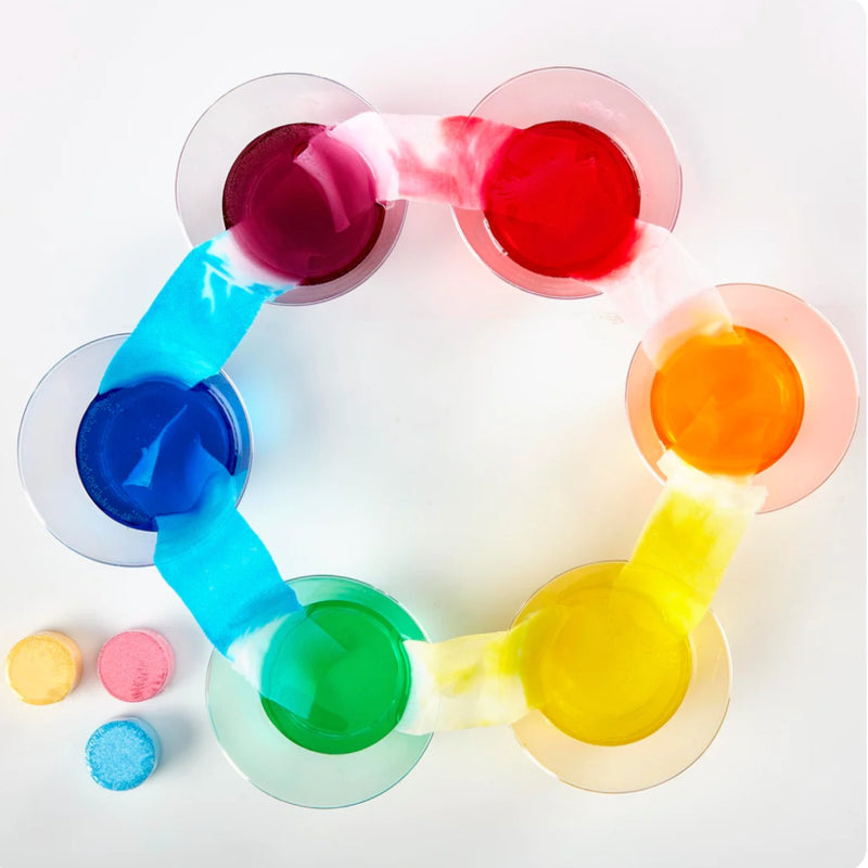 STEAM School Painting Science | Safari Ltd®