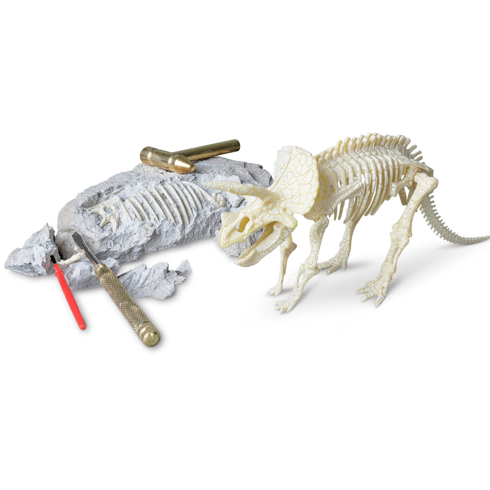 Triceratops Paleontology Kit | Safari Ltd®
