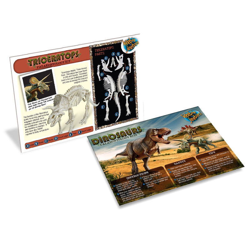 Triceratops Paleontology Kit | Safari Ltd®
