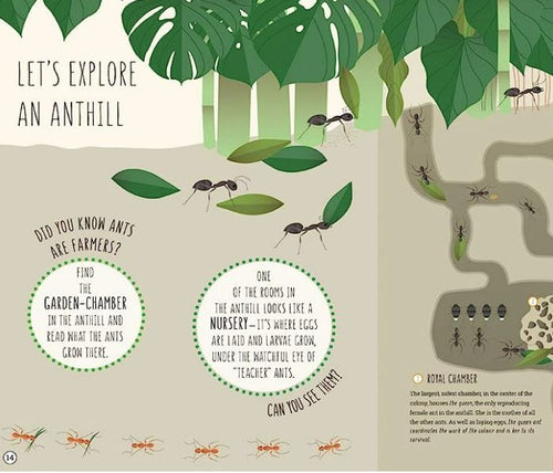 What's Inside: Discover the Secret World of Animals Book | Safari Ltd®